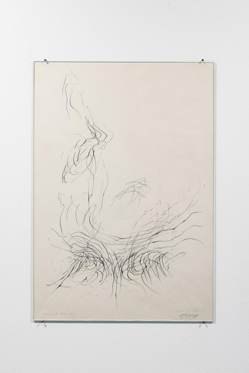 REZONANCE - Inge Kosková, Matěj Frank, Lada Semecká | Městské kulturní ...